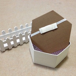 Hexagonal birthday gift Lip and Base box